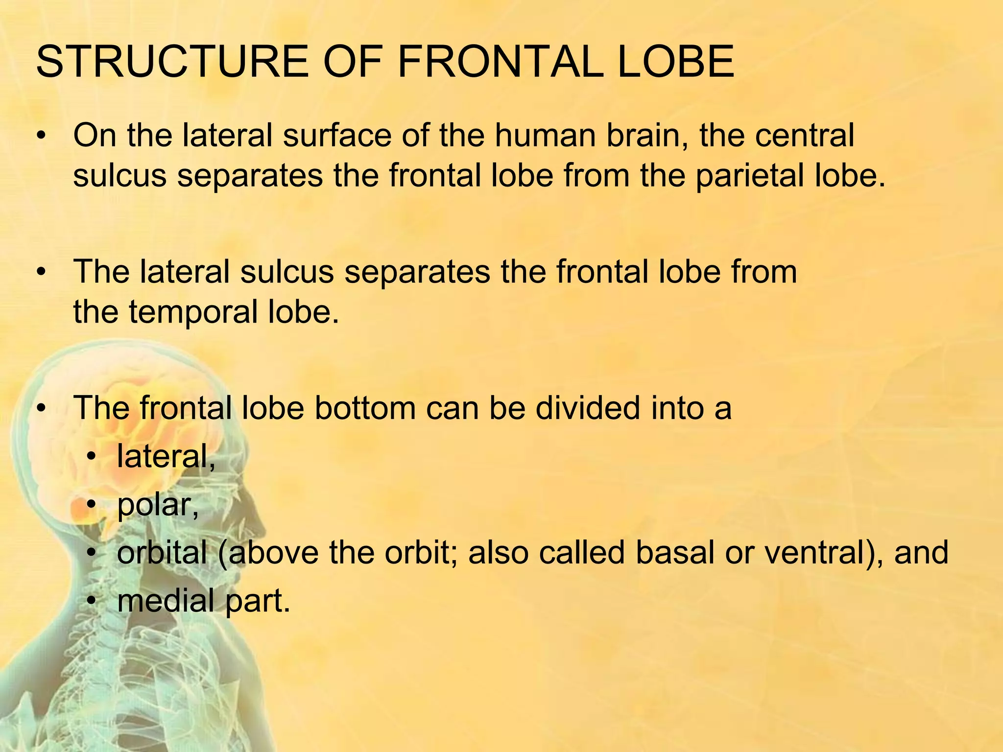 frontal lobe | PPTX