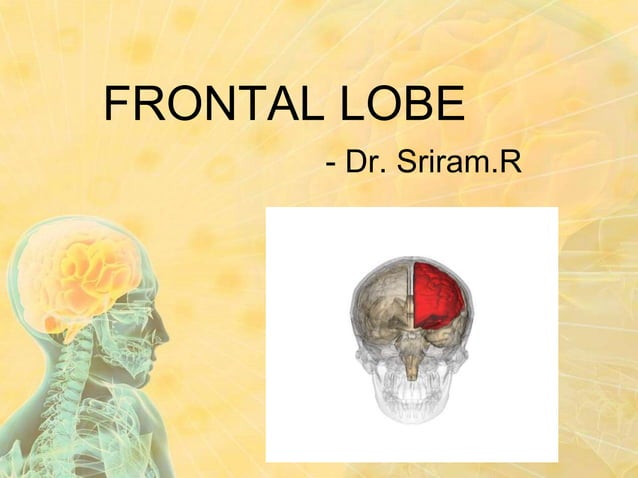 frontal lobe | PPTX