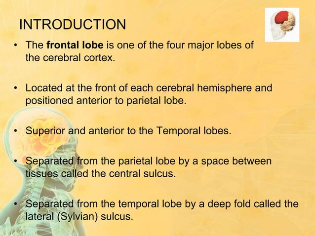 frontal lobe | PPTX