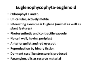 Algae | PDF