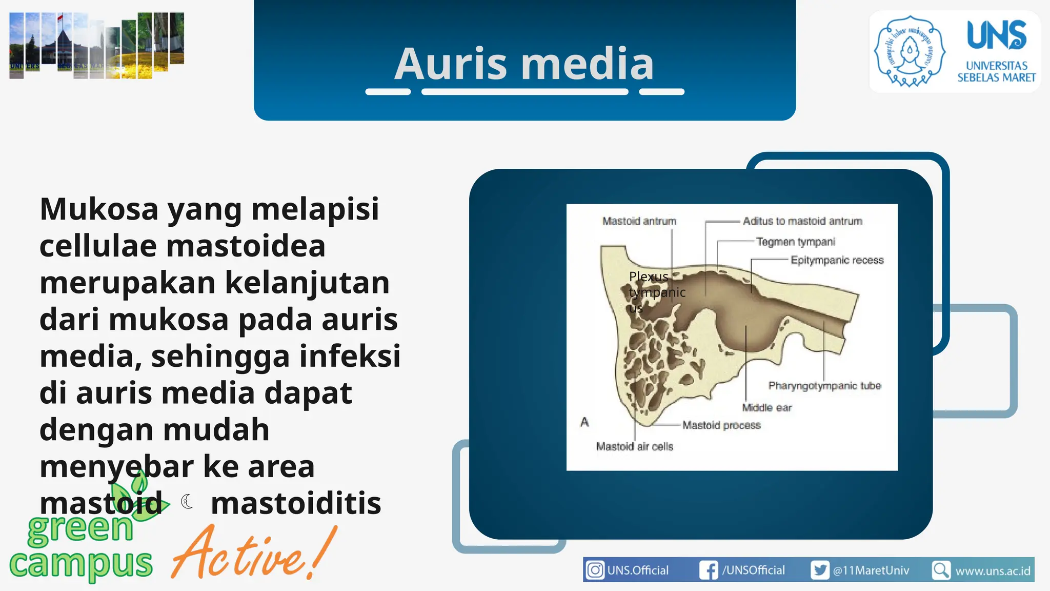 [8]-Anatomi Organ Visual dan Auditoris-dr Siti Munawaroh.pptx