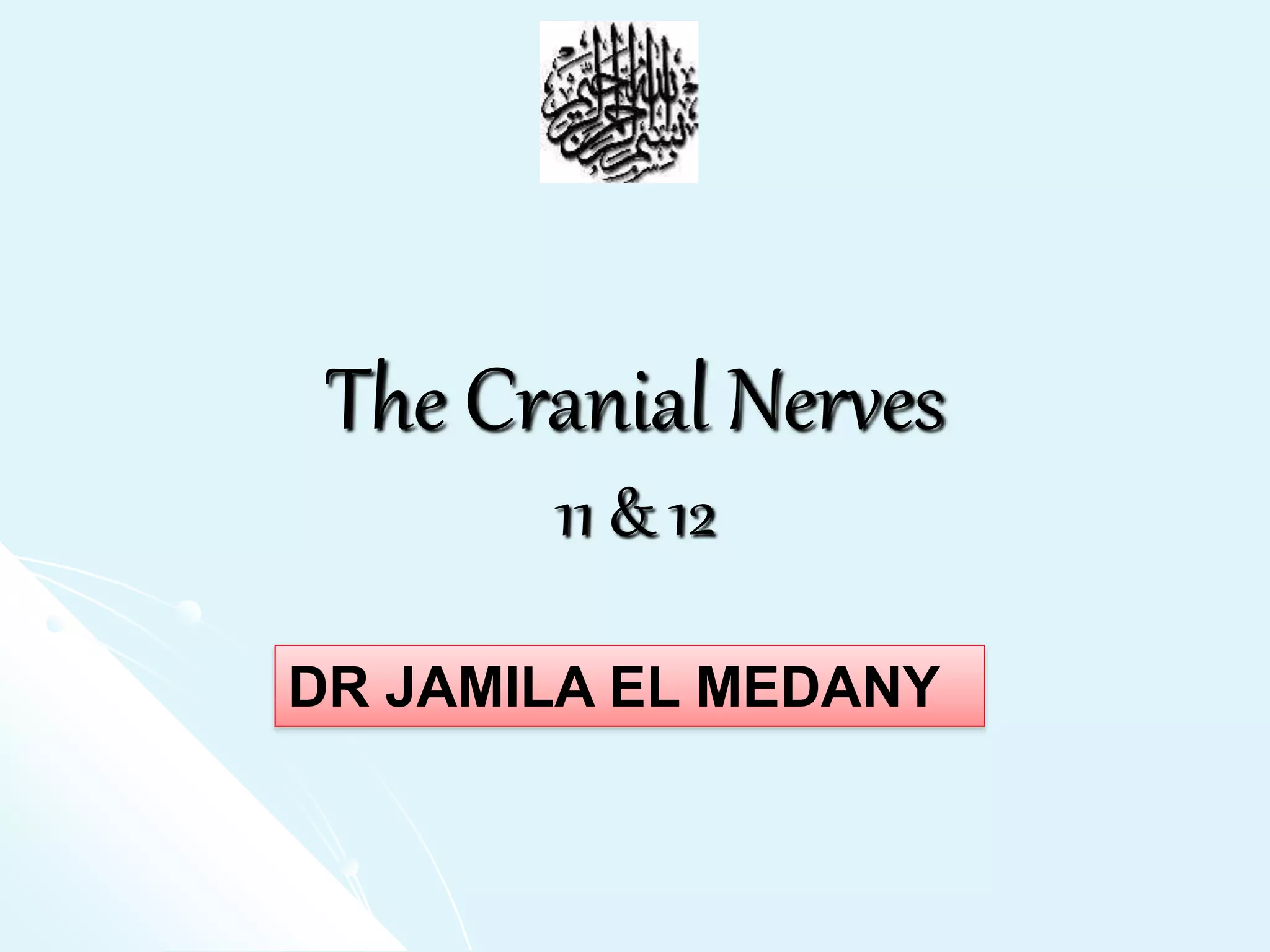 Anatomy of CN XI & XII | PPT