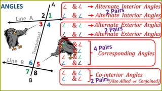 8 angles-ver 1 | PPTX | Geography | Science