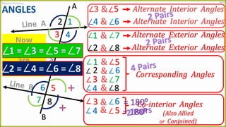 8 angles-ver 1 | PPTX | Geography | Science