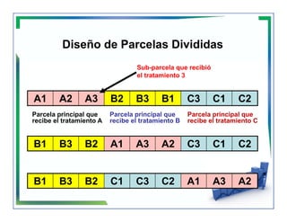 8 arreglos en parcelas divididas 2015 | PDF