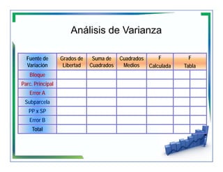 8 arreglos en parcelas divididas 2015 | PDF