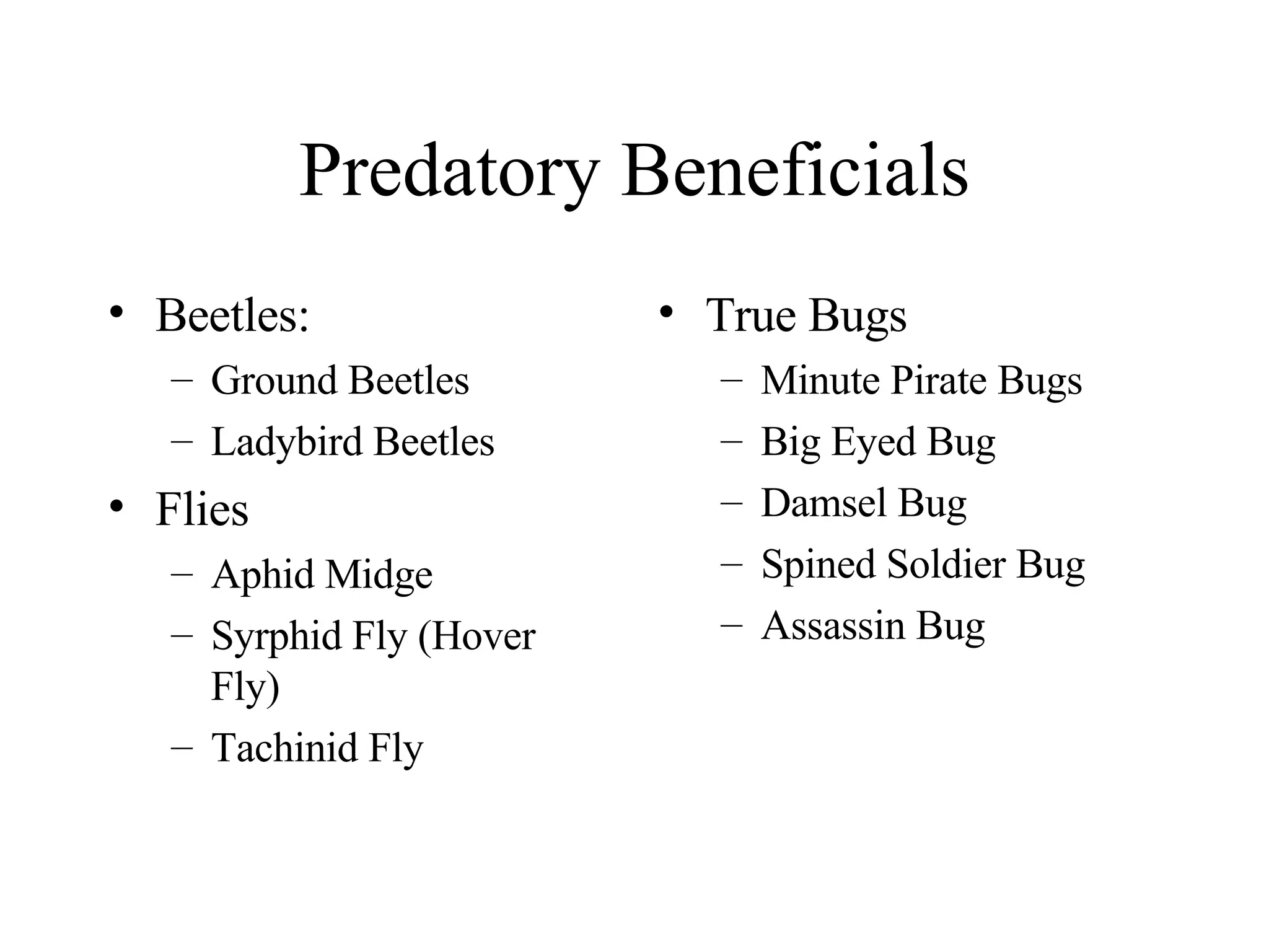 8 Beneficial Insects | PPT