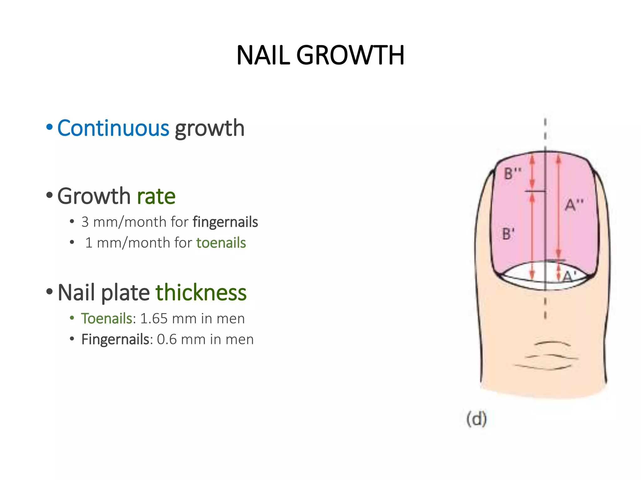 Biology of Hair and Nails.pptx