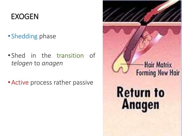Biology of Hair and Nails.pptx | Nail Care | Beauty