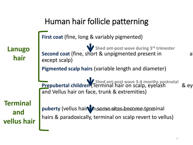 Biology of Hair and Nails.pptx | Nail Care | Beauty