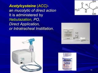 Pharmacology of the Respiratory System | PPT