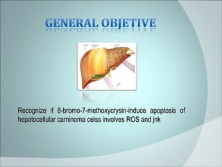 8 bromo-7-methoxycrysin-induce apoptosis of hepatocellular carninoma ...
