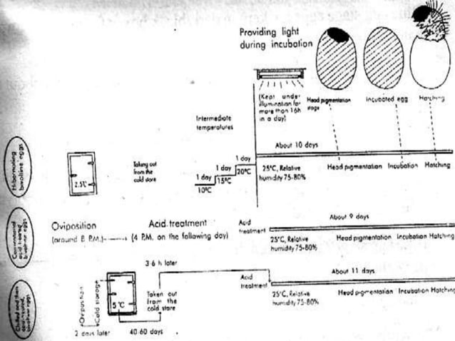 8 chapter preservation and handling of silkworm eggs and egg incubation ...