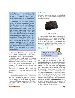 8 coal and petroleum | PDF