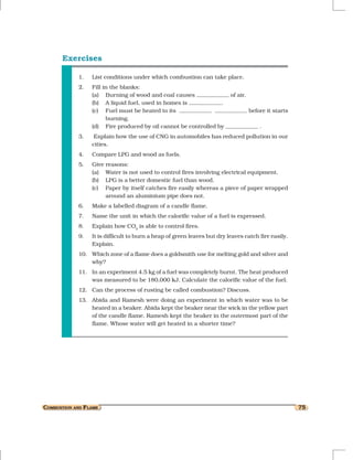 8 combustion and flame | PDF | Chemistry | Science