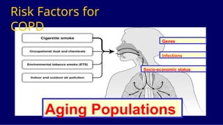 8-COPD 1 (anatomy,symptoms,diagnosis,x-ray,ct,labs,management).pptx