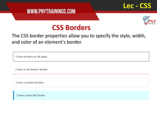 Web Development.pptx