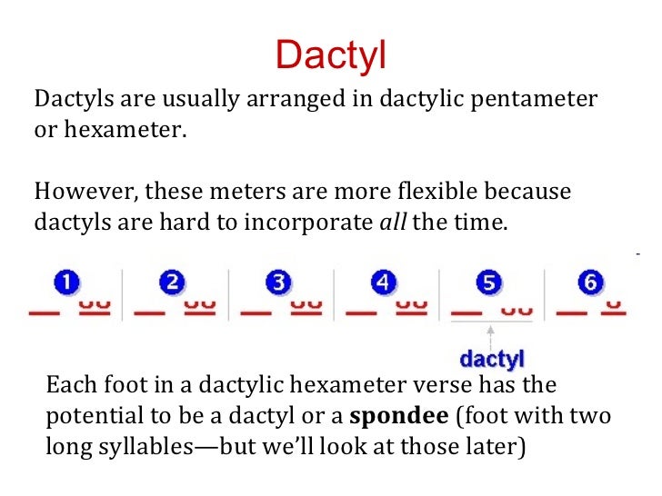 Dactylic Pentameter Definition And Examples – GCXI