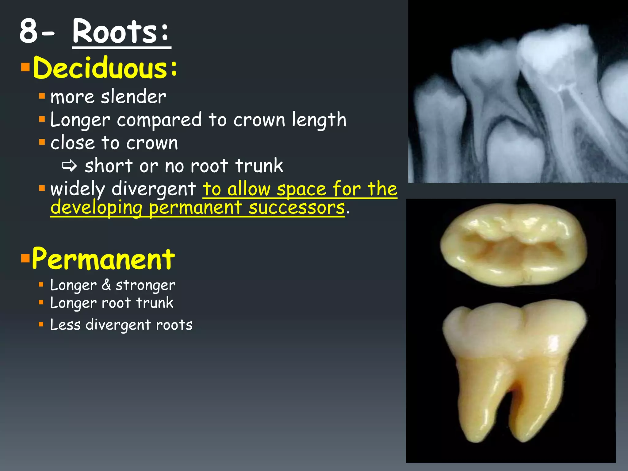 Deciduous teeth | PPTX