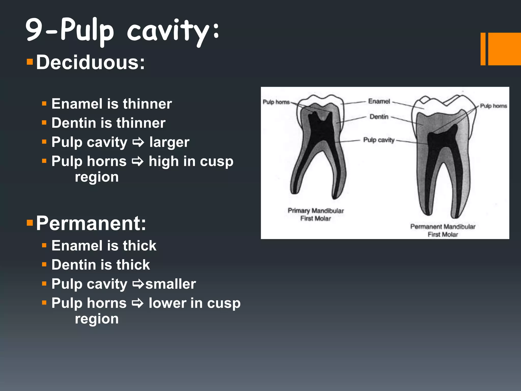 Deciduous teeth | PPTX
