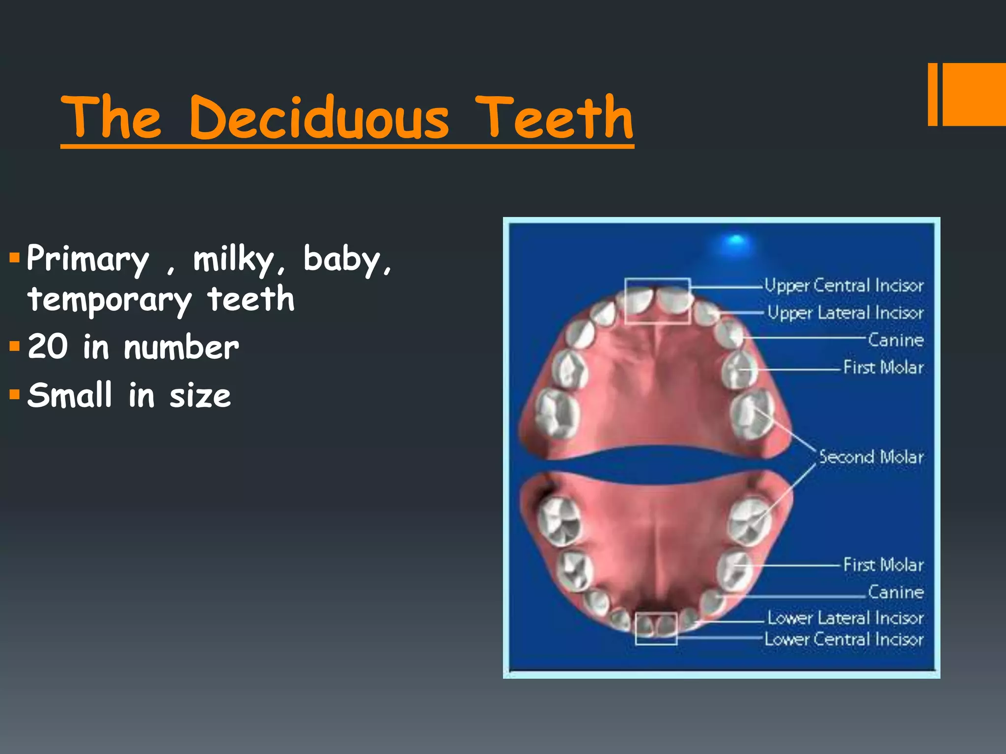 Deciduous teeth | PPTX