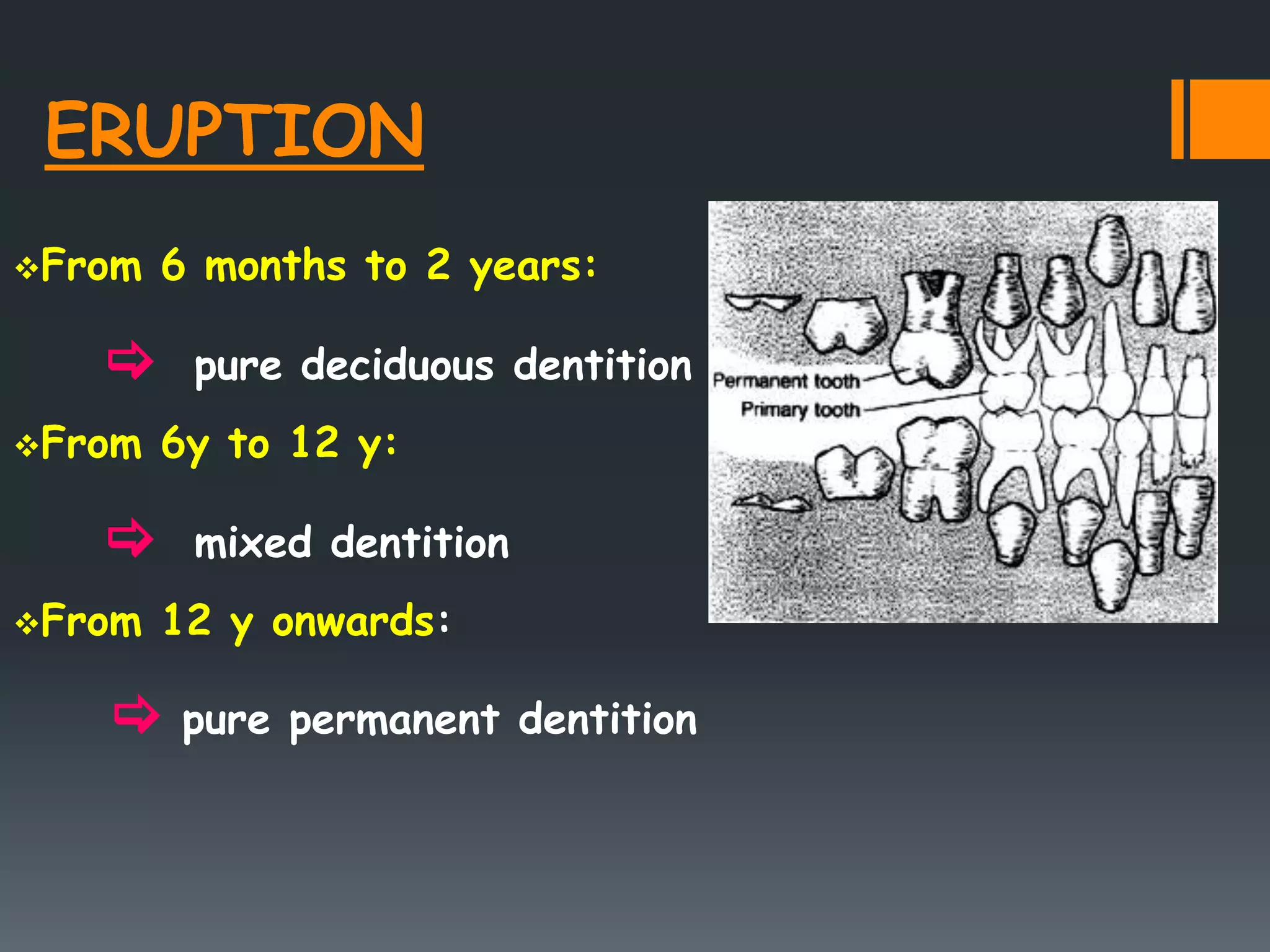 Deciduous teeth | PPTX