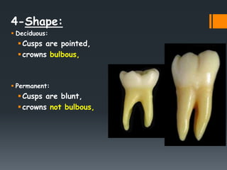Deciduous teeth | PPTX