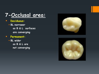 Deciduous teeth | PPTX