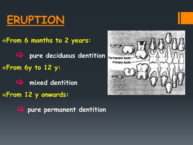 Deciduous teeth | PPT