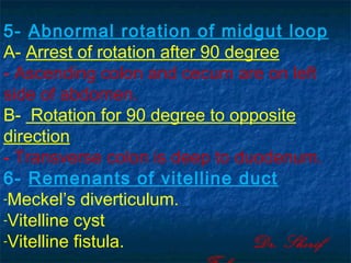 Development of Midgut (Special Embryology) | PPS