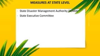8 Disaster Management | PPT