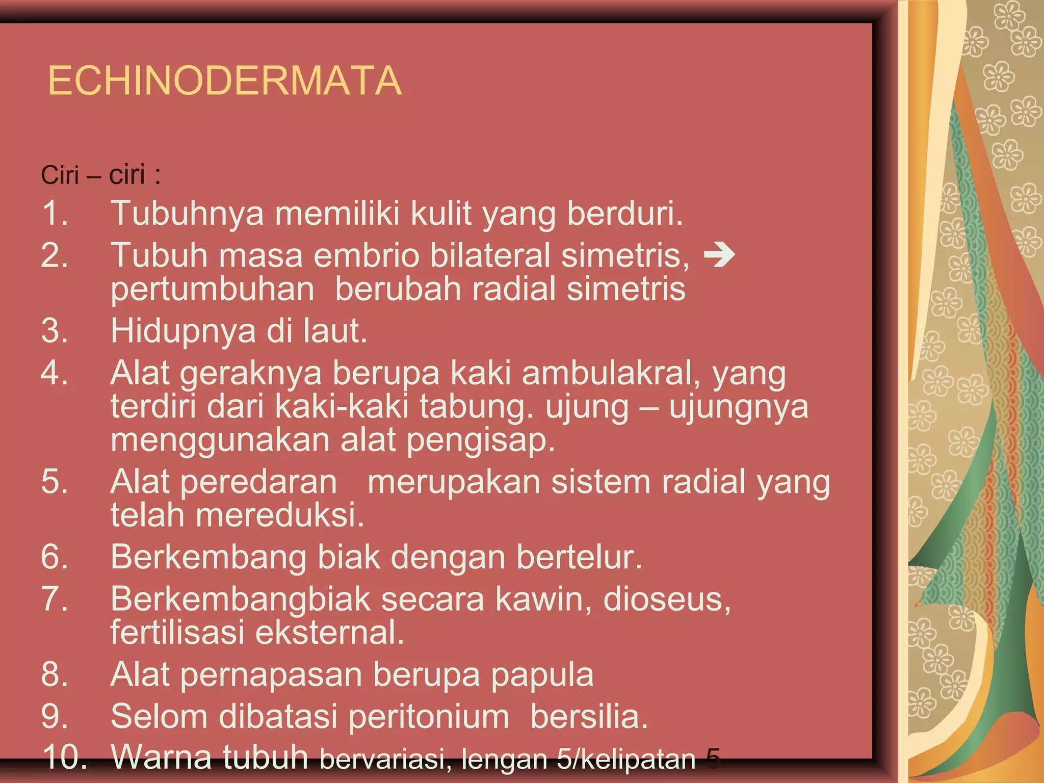 8. echinodermata 1 | PPT