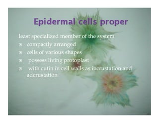 Lesson 8 bio101 (c)Dr. Evangelista | PDF
