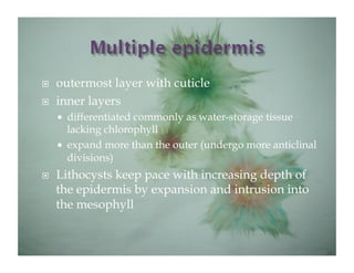 Lesson 8 bio101 (c)Dr. Evangelista | PPT
