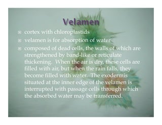 Lesson 8 bio101 (c)Dr. Evangelista | PPT
