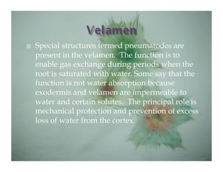 Lesson 8 bio101 (c)Dr. Evangelista | PPT