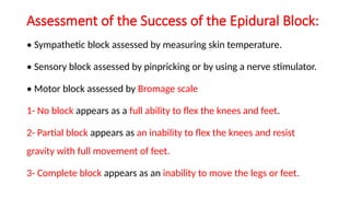 8-Epidural anatomy and equipment and technique | PPTX