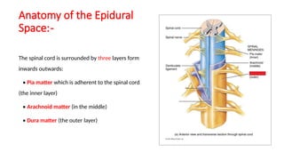 8-Epidural anatomy and equipment and technique | PPTX