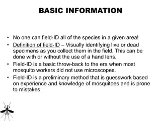 8 Field Id Adult | PPT