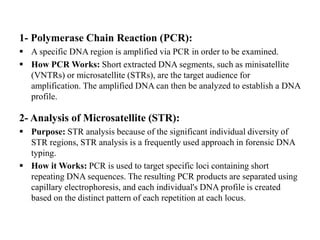 Forensic DNA Typing Methods in Forensic Science.pptx | Genetics | Science