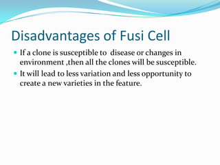 8 fusi sel | PPT