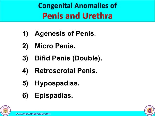 Genital system anomalies (2) | PDF | Infertility | Reproductive Health