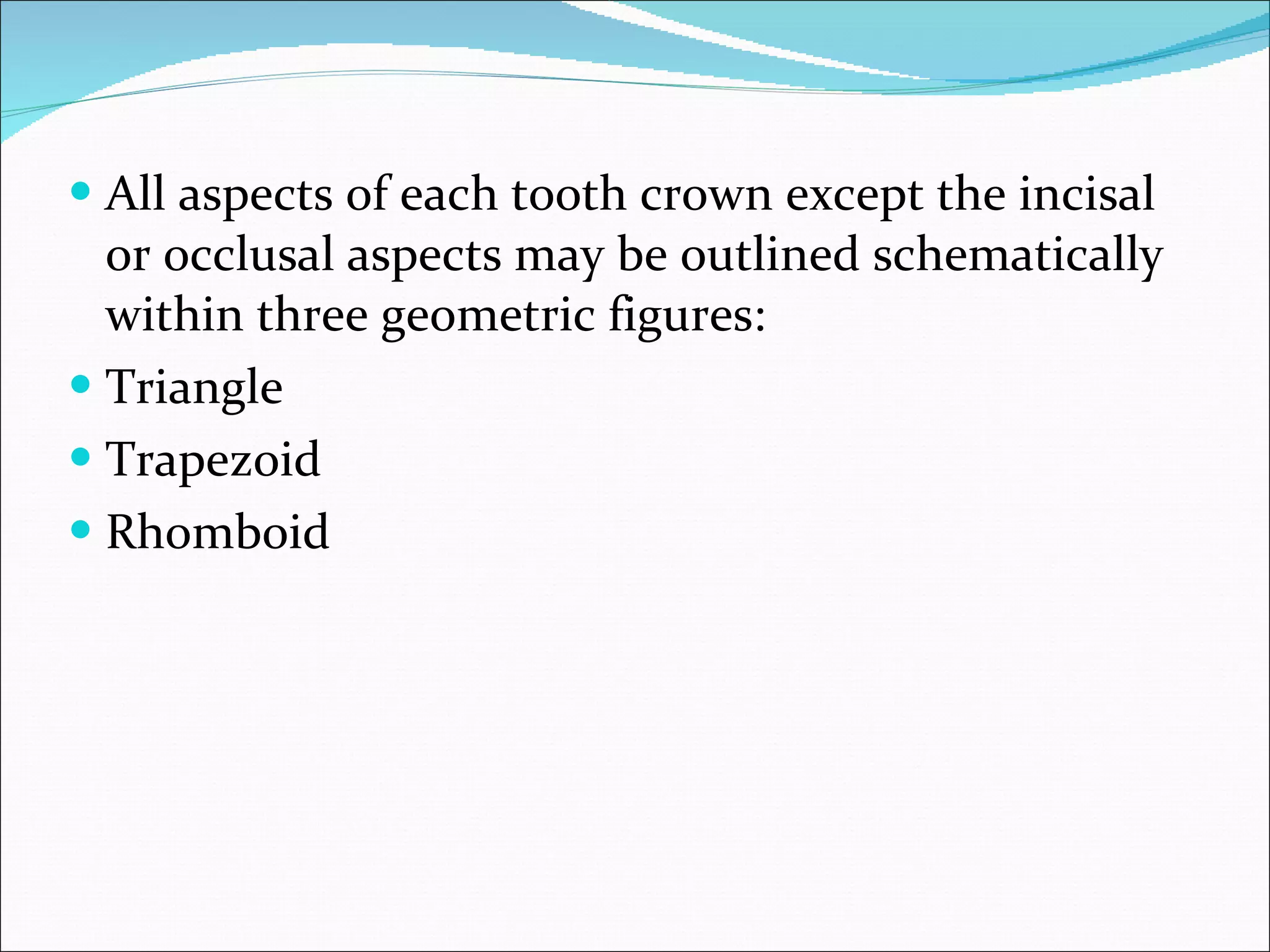 Geometries of Crown Outlines | PPT