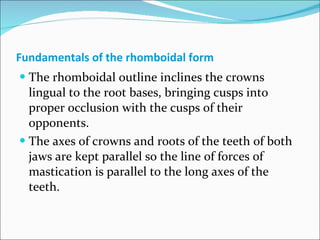 Geometries of Crown Outlines | PPT