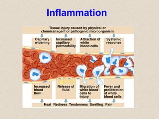 8 - Immunity: Defence Against Disease | PPT | Infectious Diseases ...