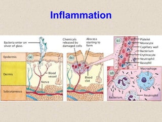 8 - Immunity: Defence Against Disease | PPT