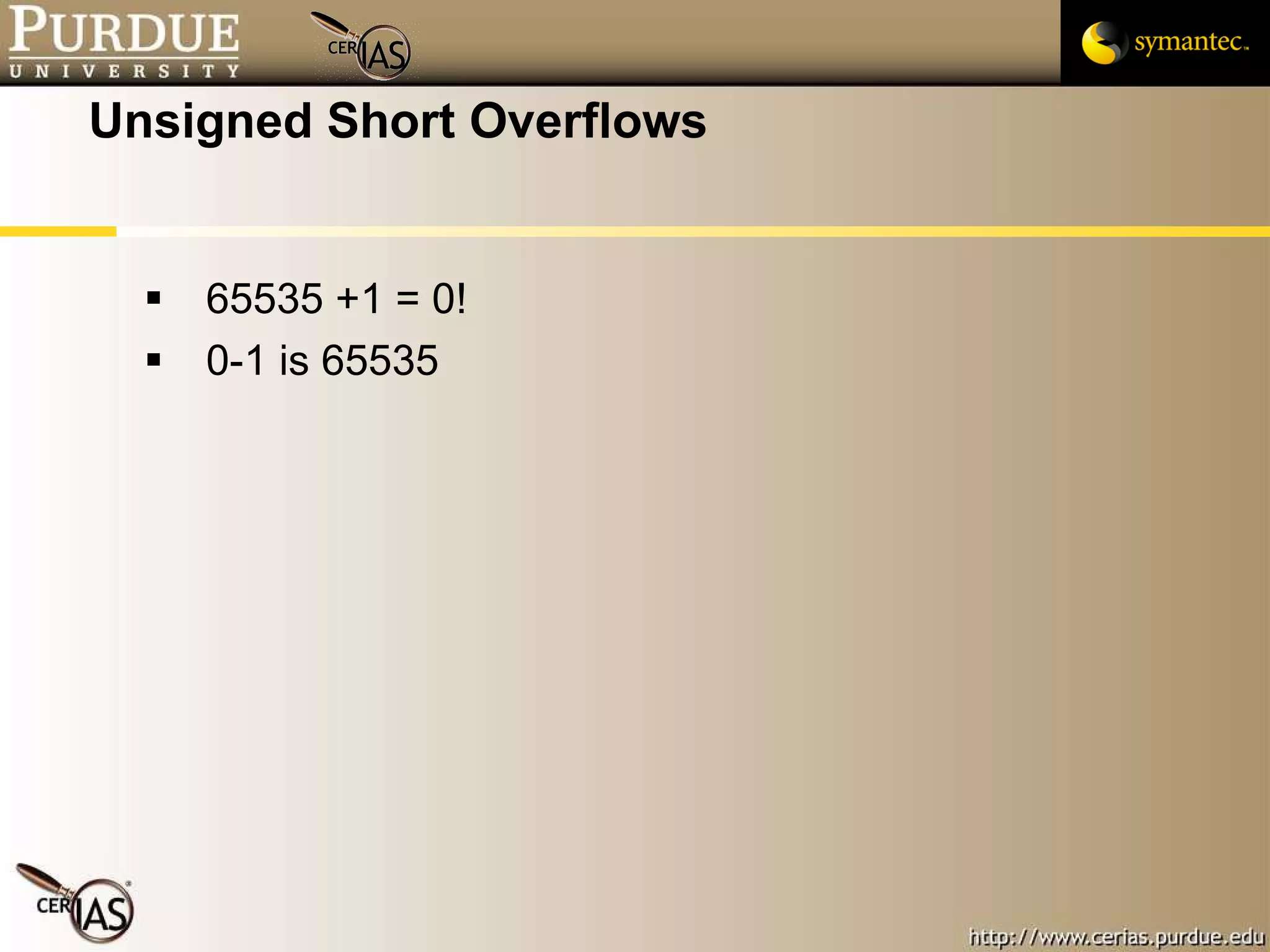 8.Integer Overflows | PPT