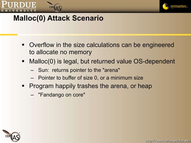 8.Integer Overflows | PPT