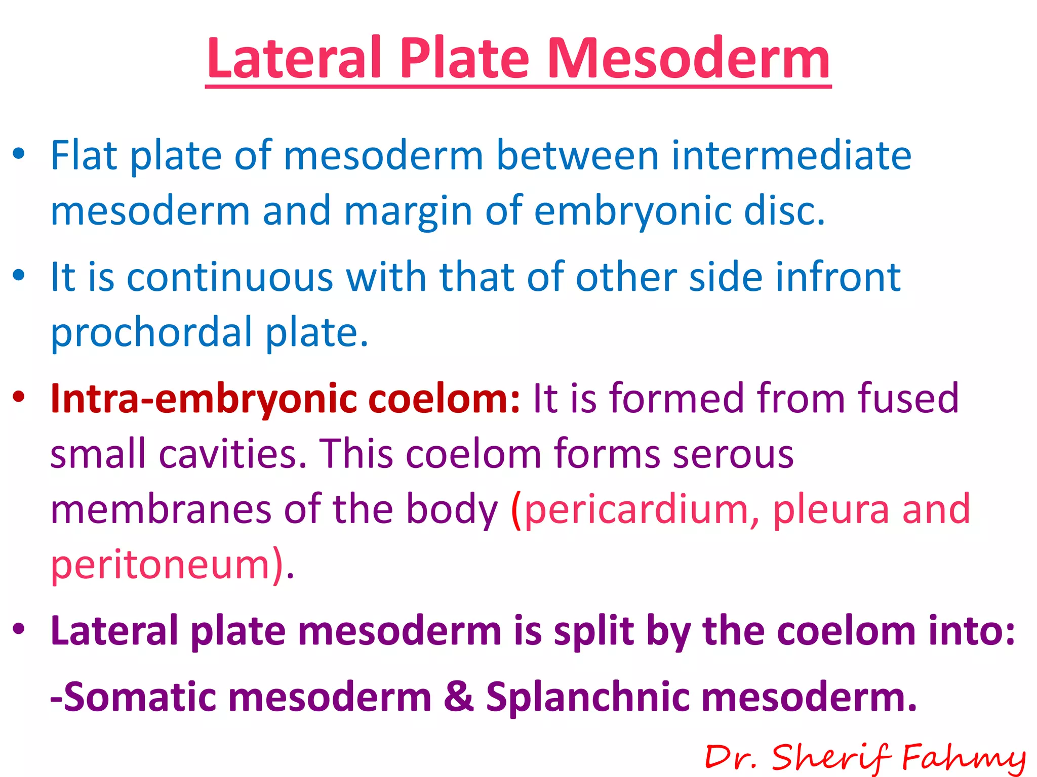 Intra-Embryonic Mesoderm (General Embryology) | PPSX
