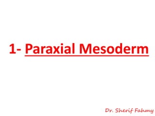 Intra-Embryonic Mesoderm (General Embryology) | PPSX